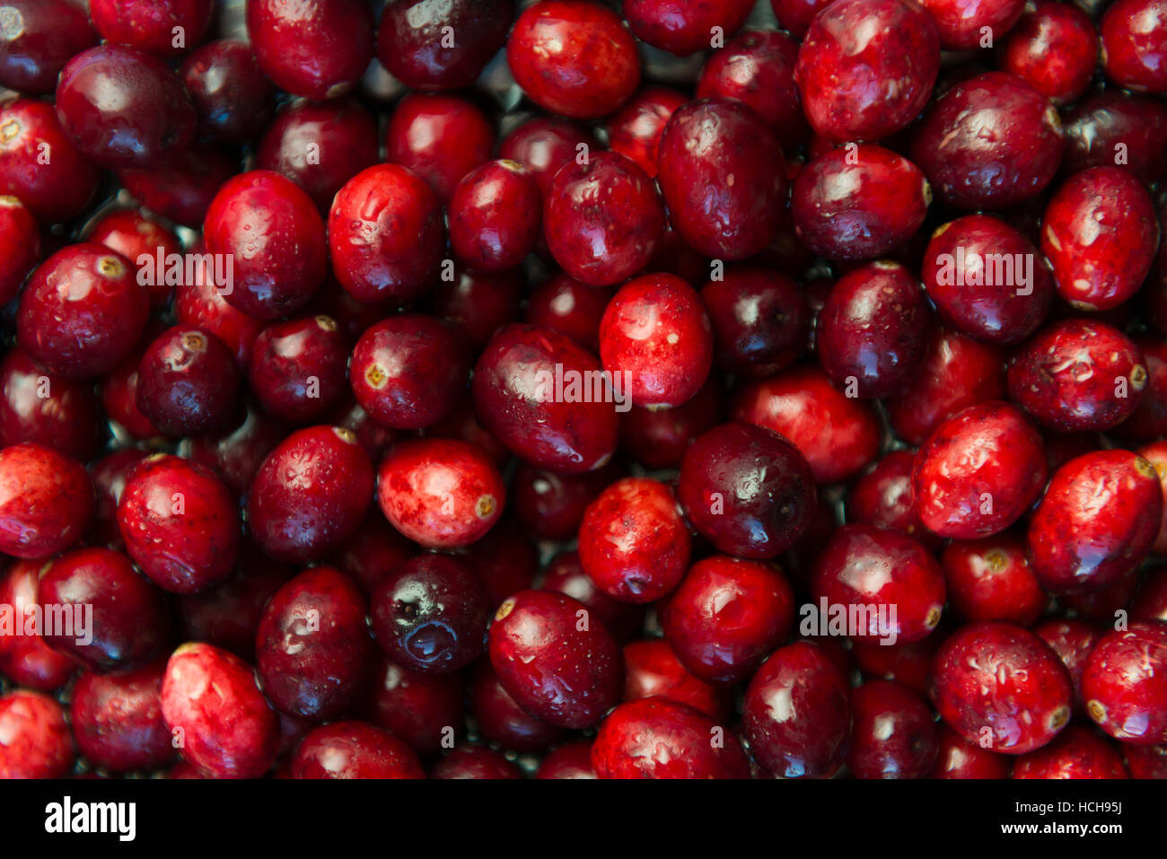 Cranberries, close up Stock Photo - Alamy