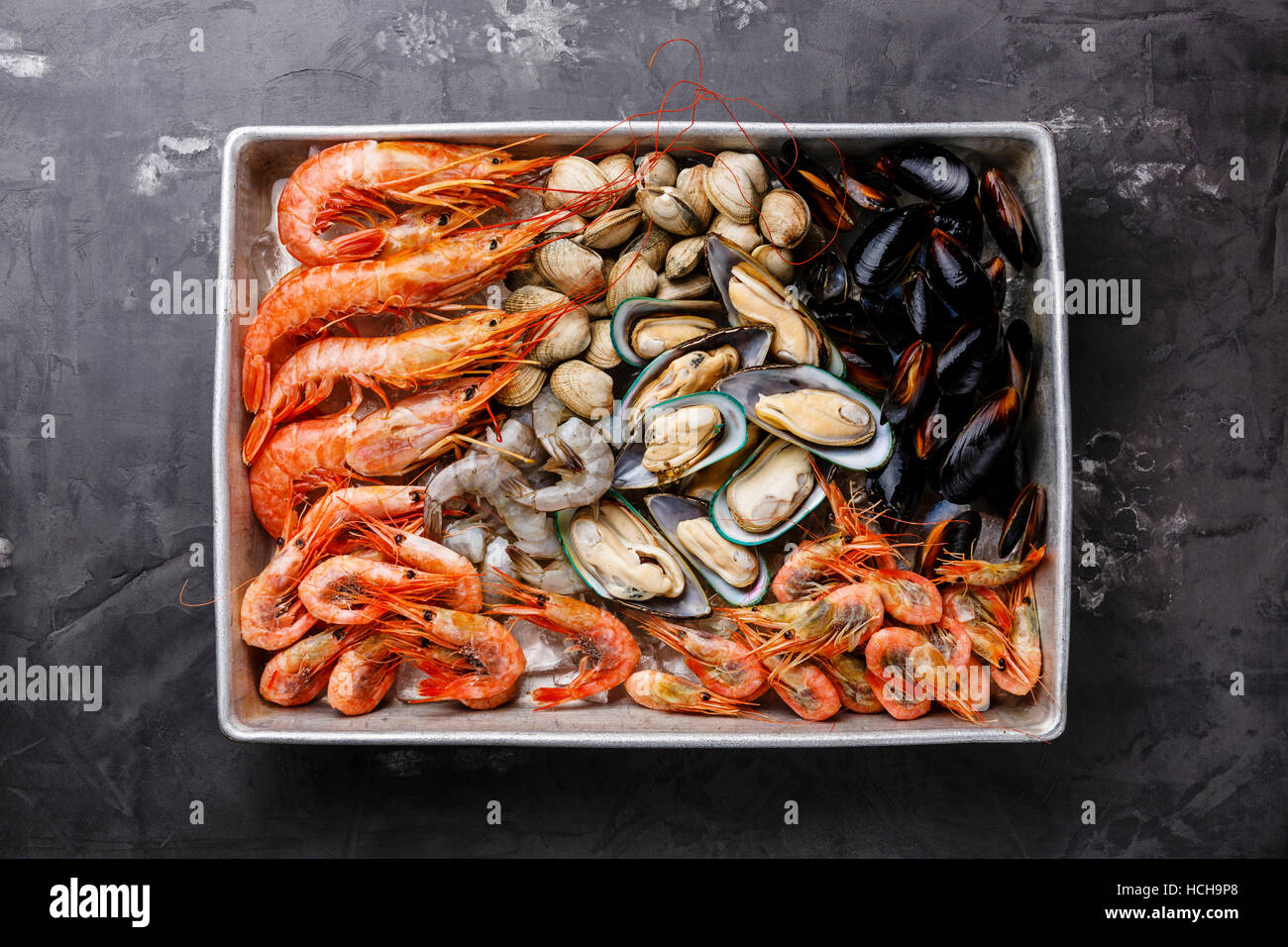 Fresh Prawns In Water