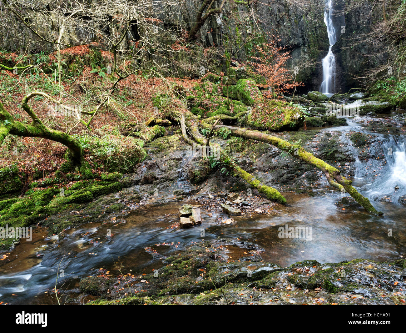 Limestone gorge hi-res stock photography and images - Alamy
