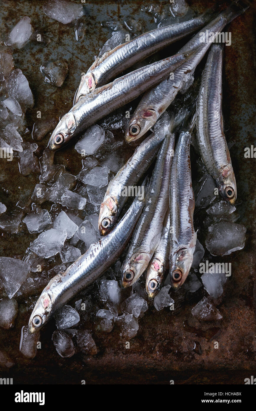 Silver anchovy hi-res stock photography and images - Alamy