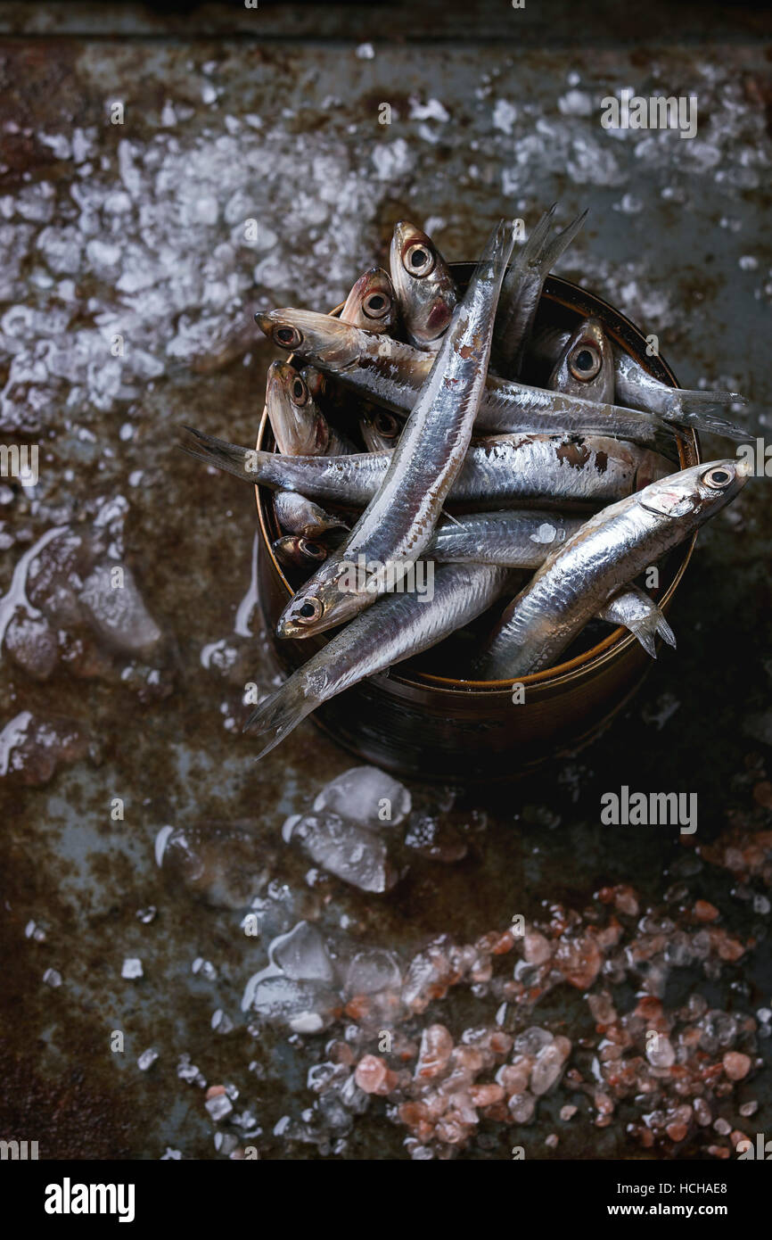 Sardine Tin High Resolution Stock Photography and Images - Alamy