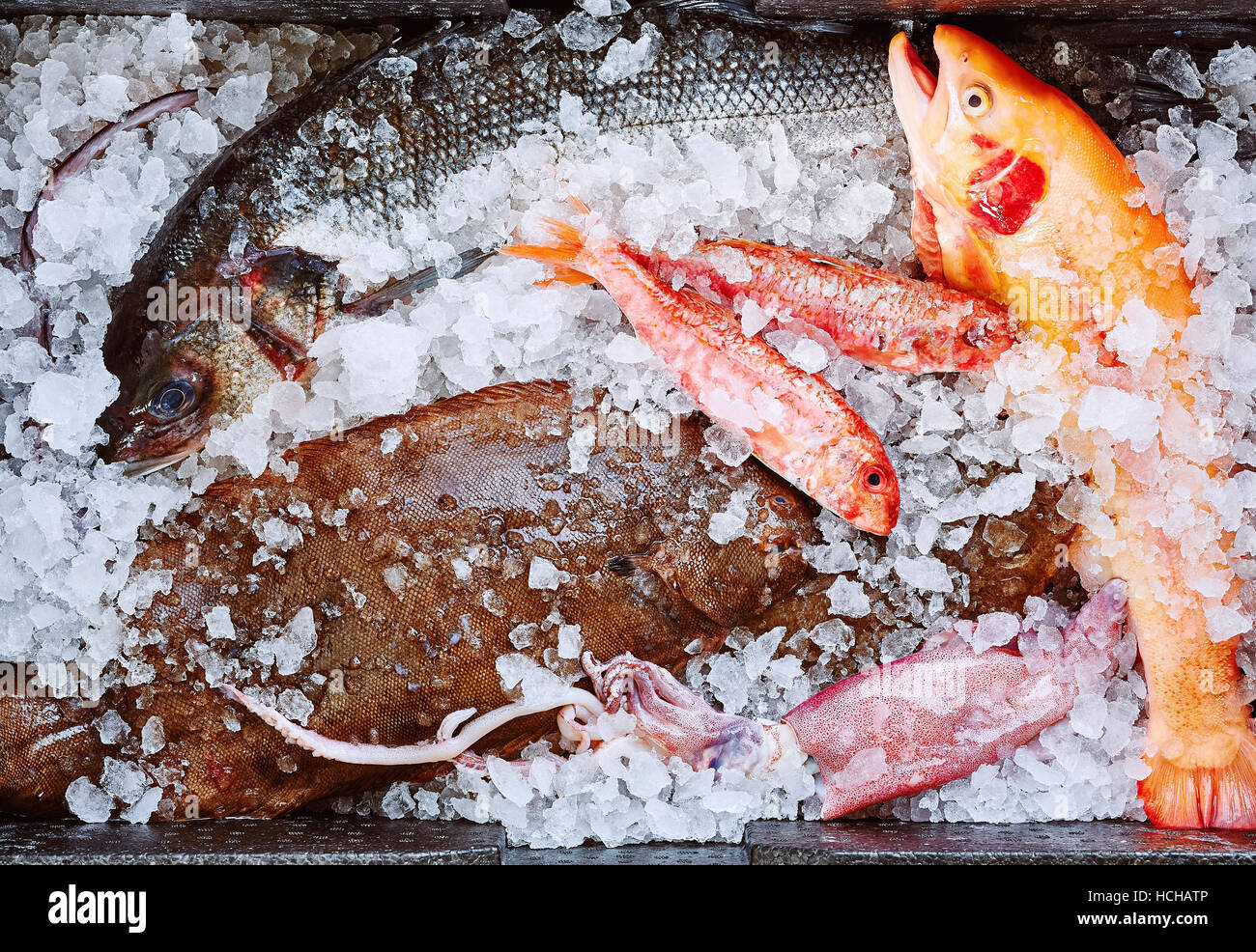 Ice Squid High Resolution Stock Photography and Images - Alamy