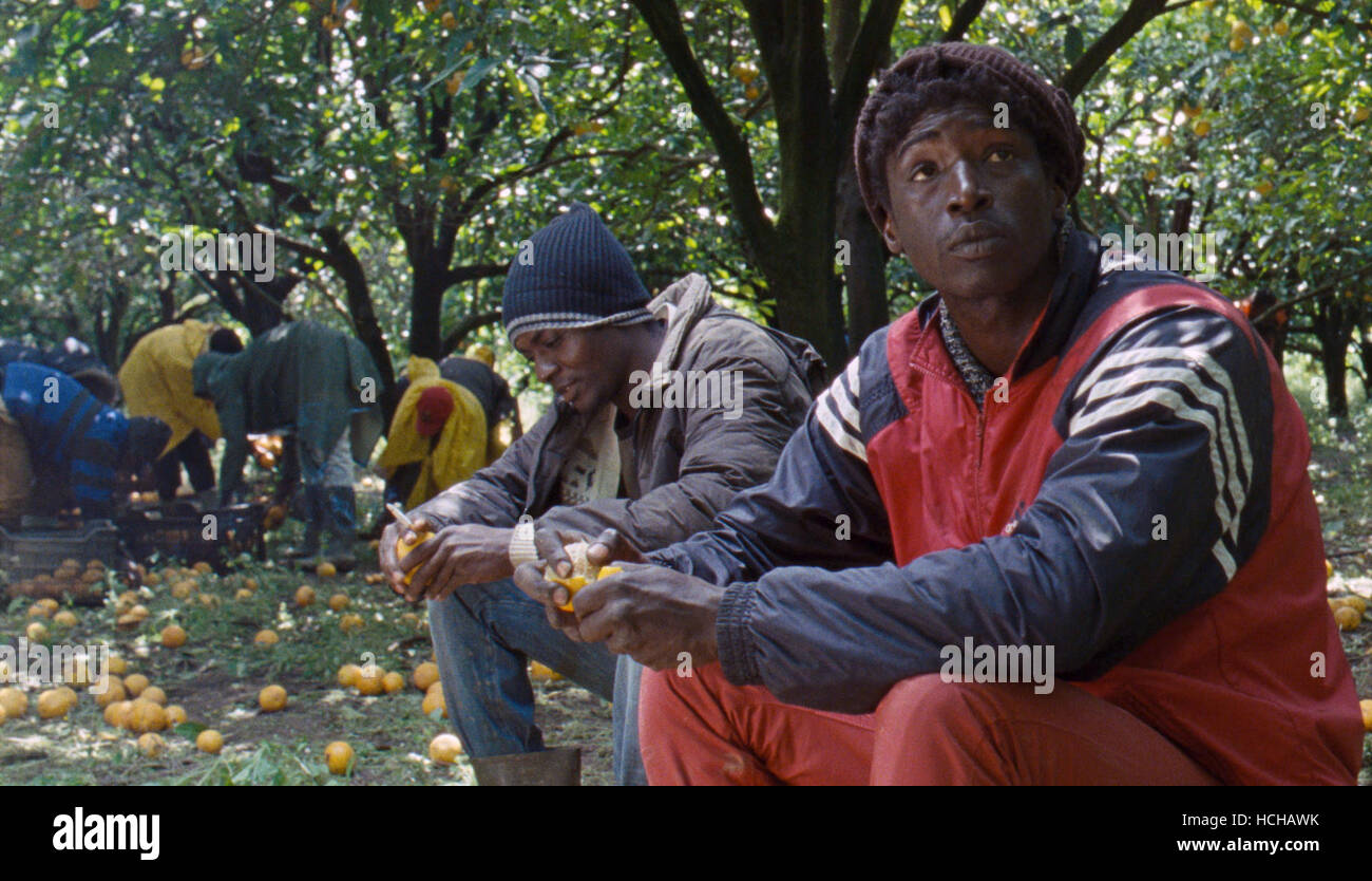 MEDITERRANEA, l-r: Koudous Seihon, Alassane Sy, 2015. ©Sundance Selects ...