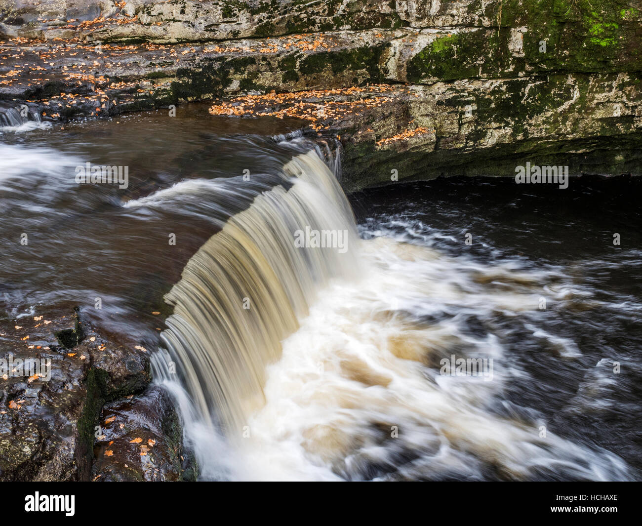 Stainforth Force or Stainforth Foss on the River Ribble in Autumn ...
