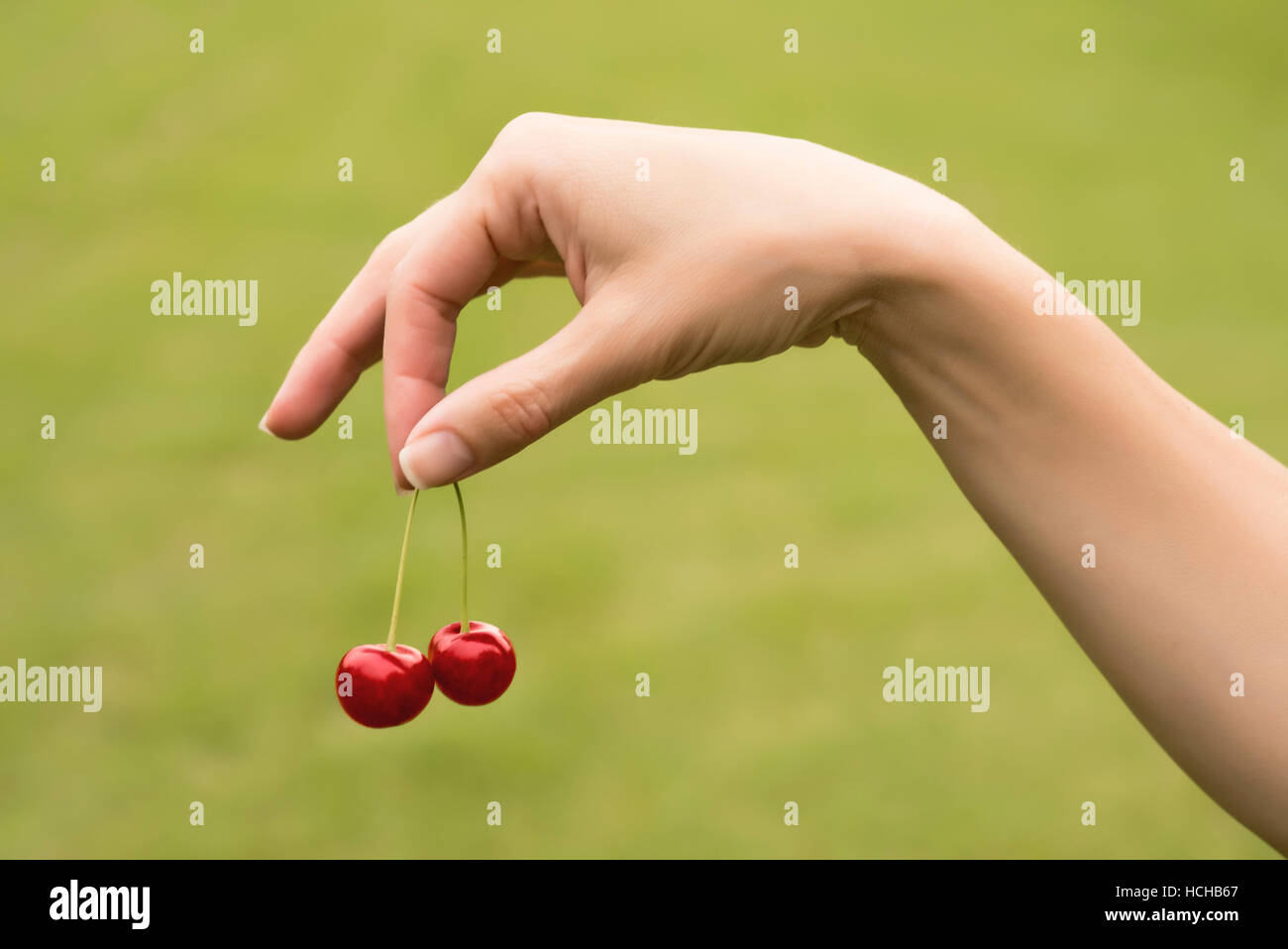 Hand holding cherries with green background Stock Photo - Alamy