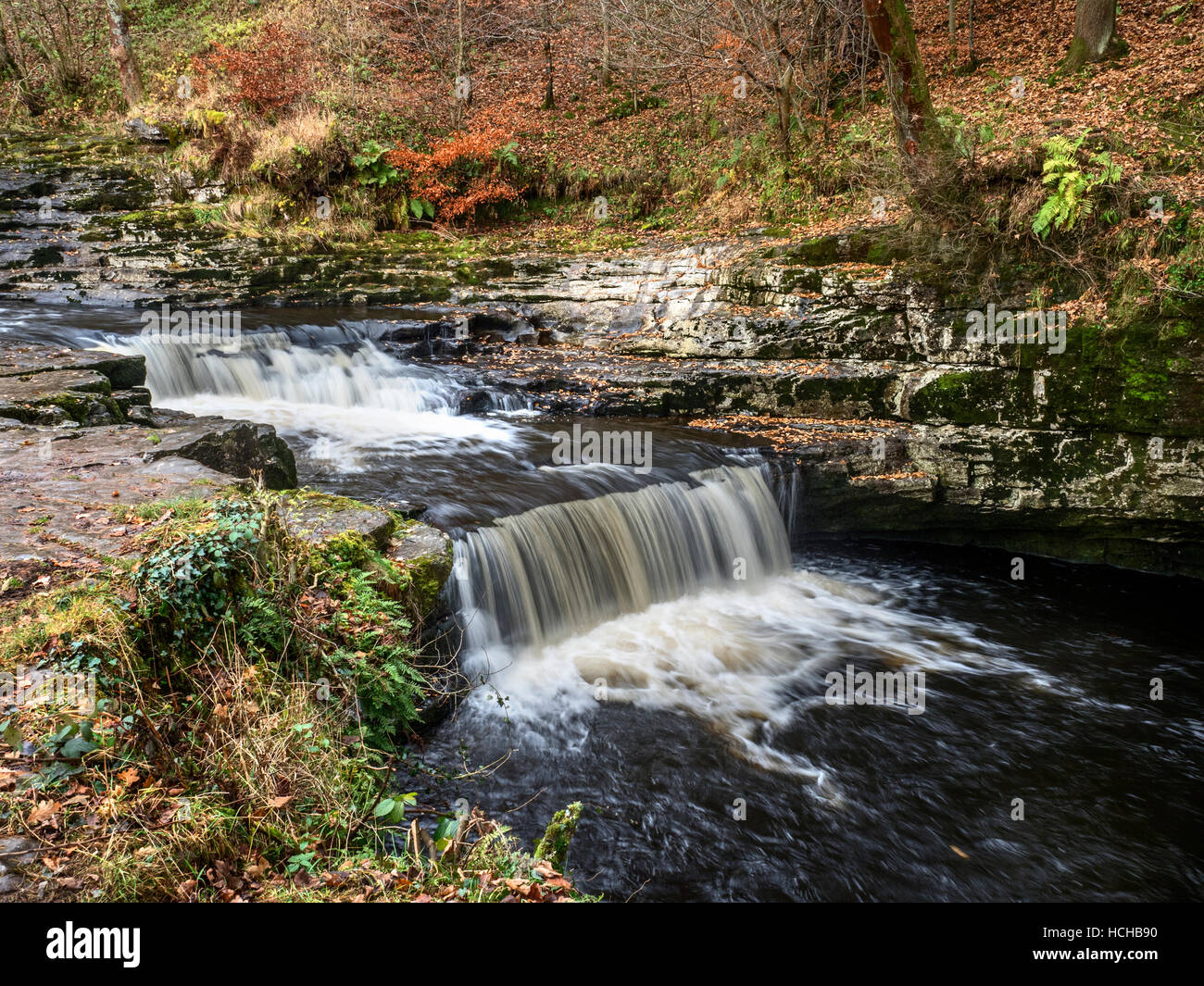Stainforth Force or Stainforth Foss on the River Ribble in Autumn ...