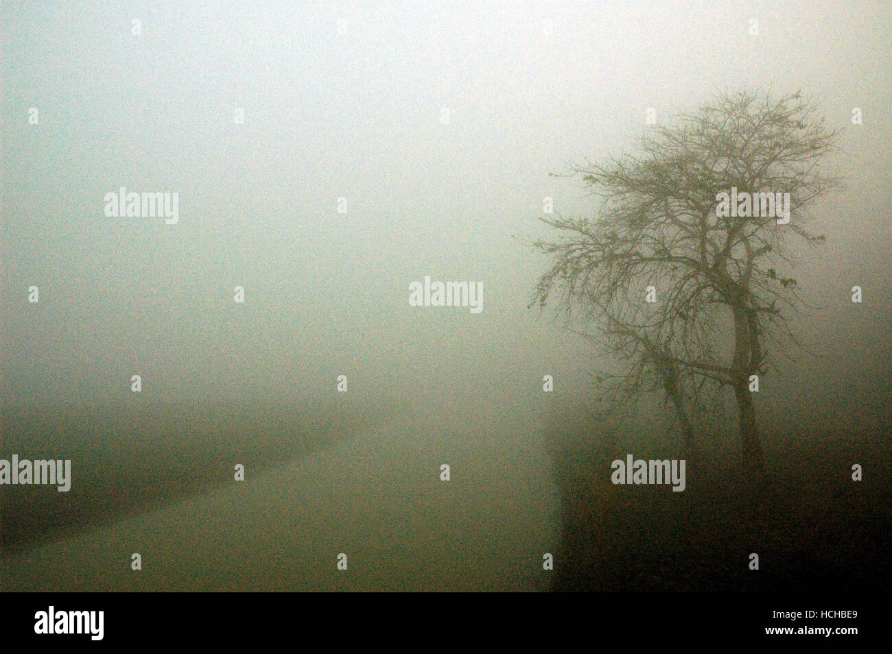 MEMORIES IN THE MIST, (aka KALPURUSH), 2005 Stock Photo - Alamy