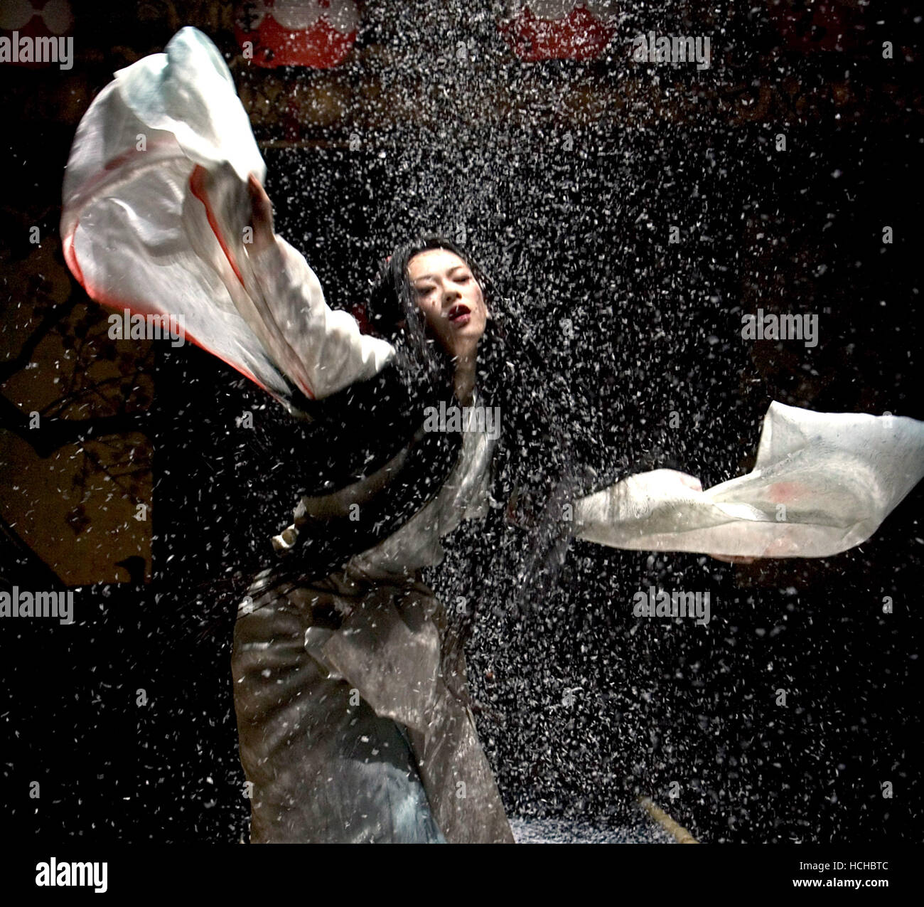 MEMOIRS OF A GEISHA, Ziyi Zhang, 2005, (c) Columbia/courtesy Everett ...