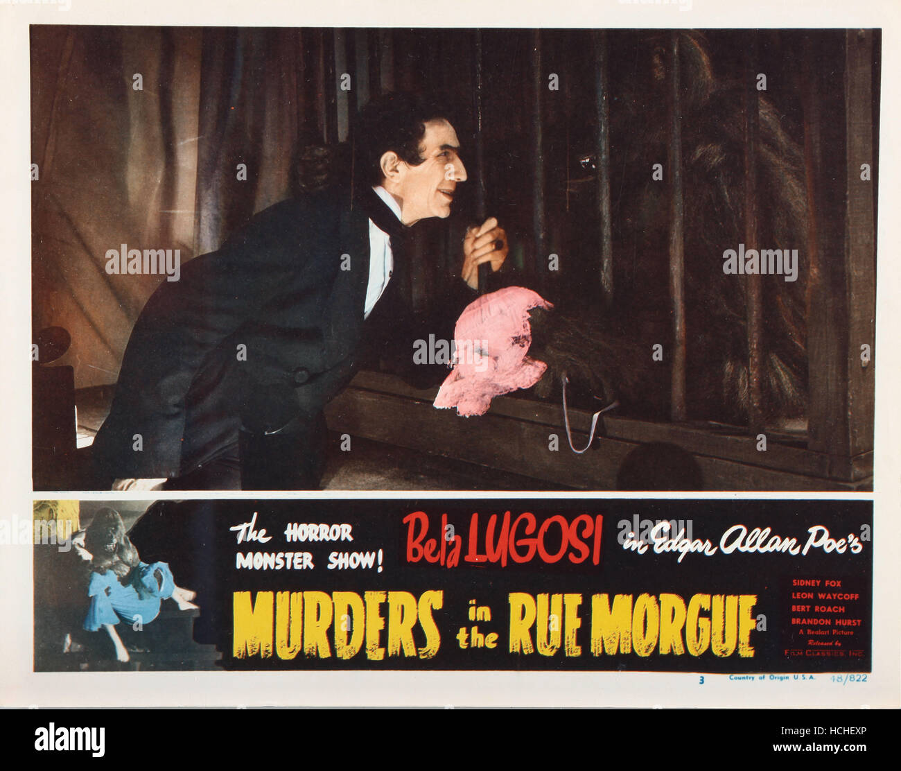 MURDERS IN THE RUE MORGUE, Bela Lugosi, Charles Gemora, 1932 Stock ...