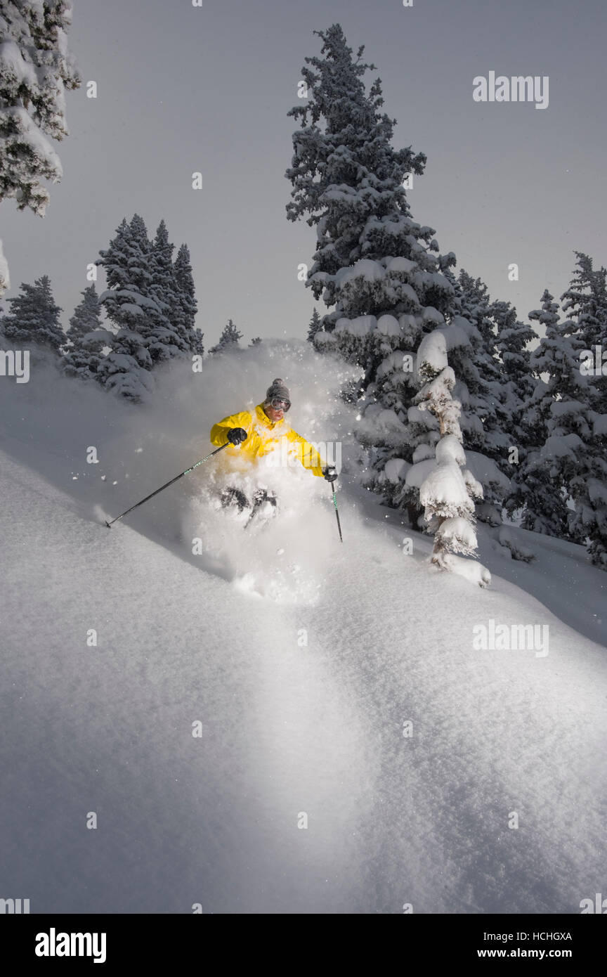 Brady Smedsrud skiing powder, Snowbird, Utah Stock Photo - Alamy