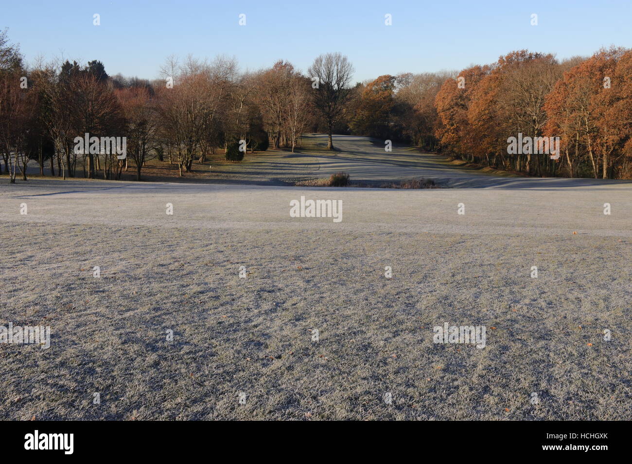 Winter scene on golf course hi-res stock photography and images - Alamy