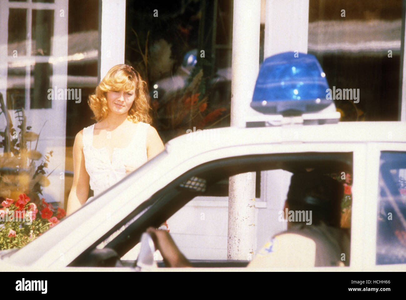 THE NIGHT THE LIGHTS WENT OUT IN GEORGIA, Sunny Johnson, 1981, © Avco ...