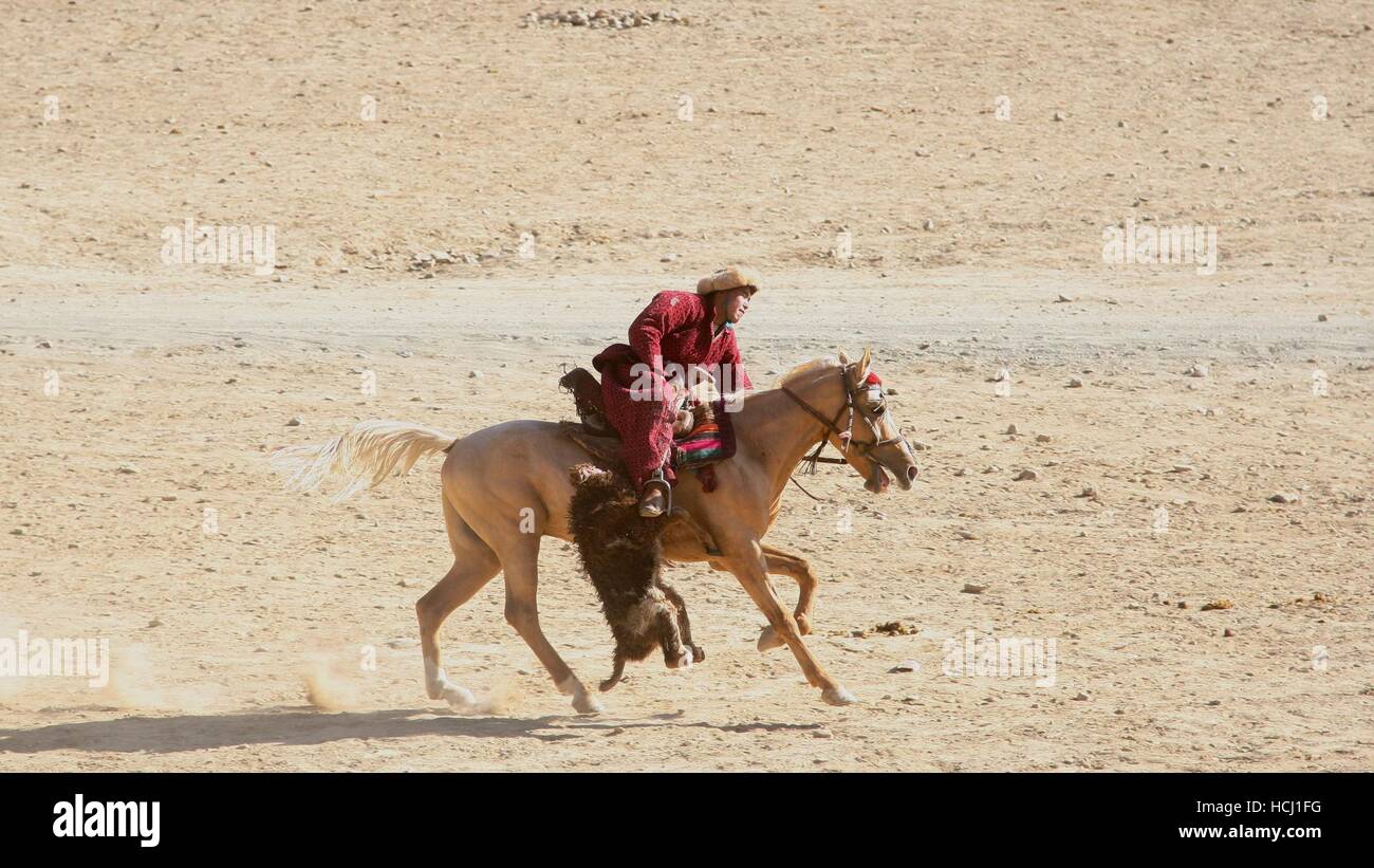 Bamyan, Afghanistan. 9th December, 2016. A horse rider in Buzkashi ...