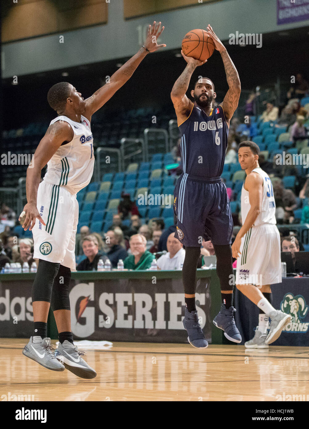 Terry patterson hi-res stock photography and images - Alamy