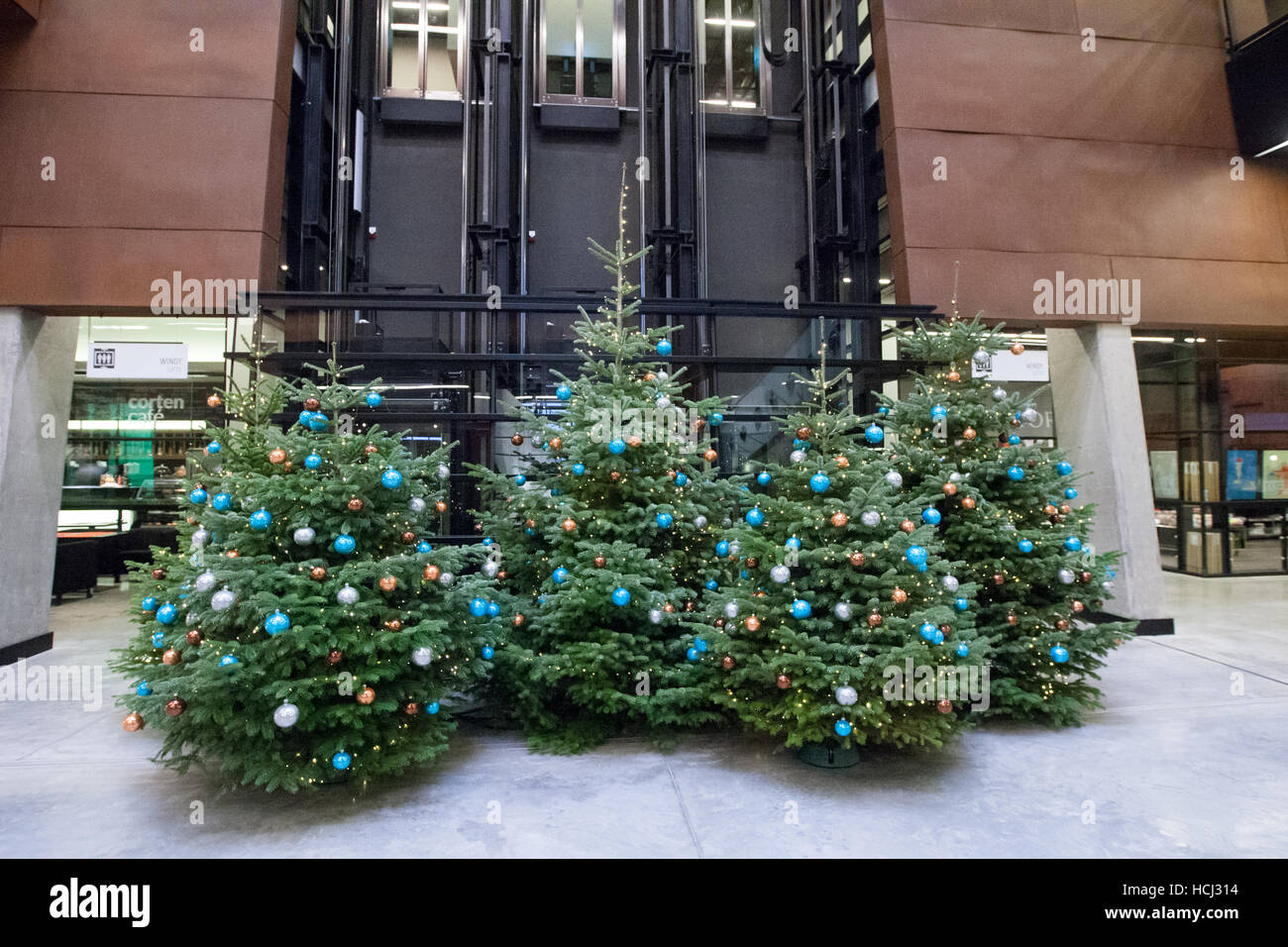 Gdansk, Poland 10 December 2016 Christmas trees decorated with boubles ...