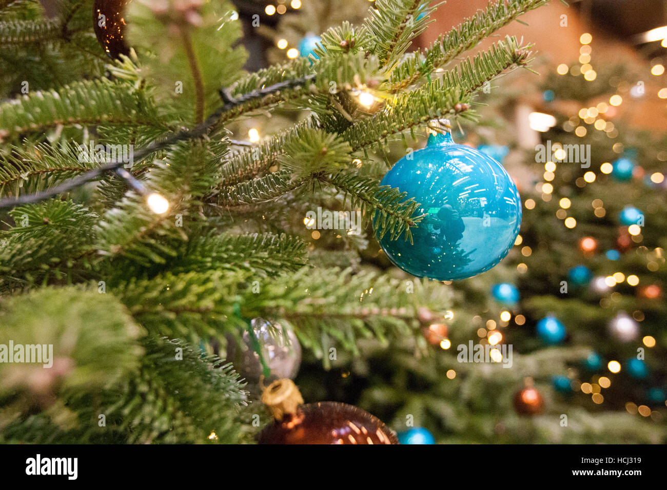 Gdansk, Poland 10 December 2016 Christmas trees decorated with boubles ...