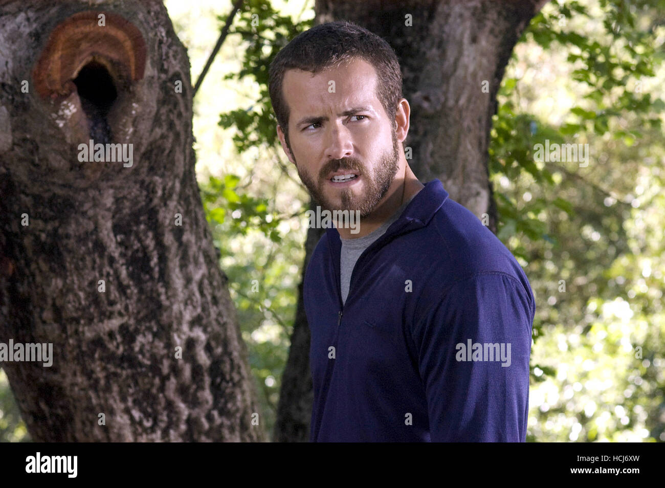 THE NINES, Ryan Reynolds, 2007. ©Newmarket Releasing/courtesy Everett ...