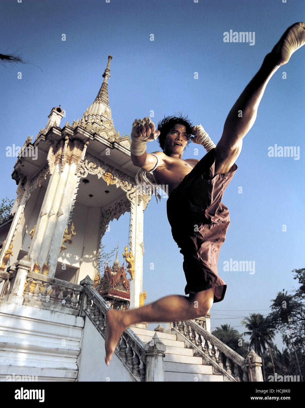 ONG-BAK, Tony Jaa, 2003, (c) Magnolia Pictures/courtesy Everett ...