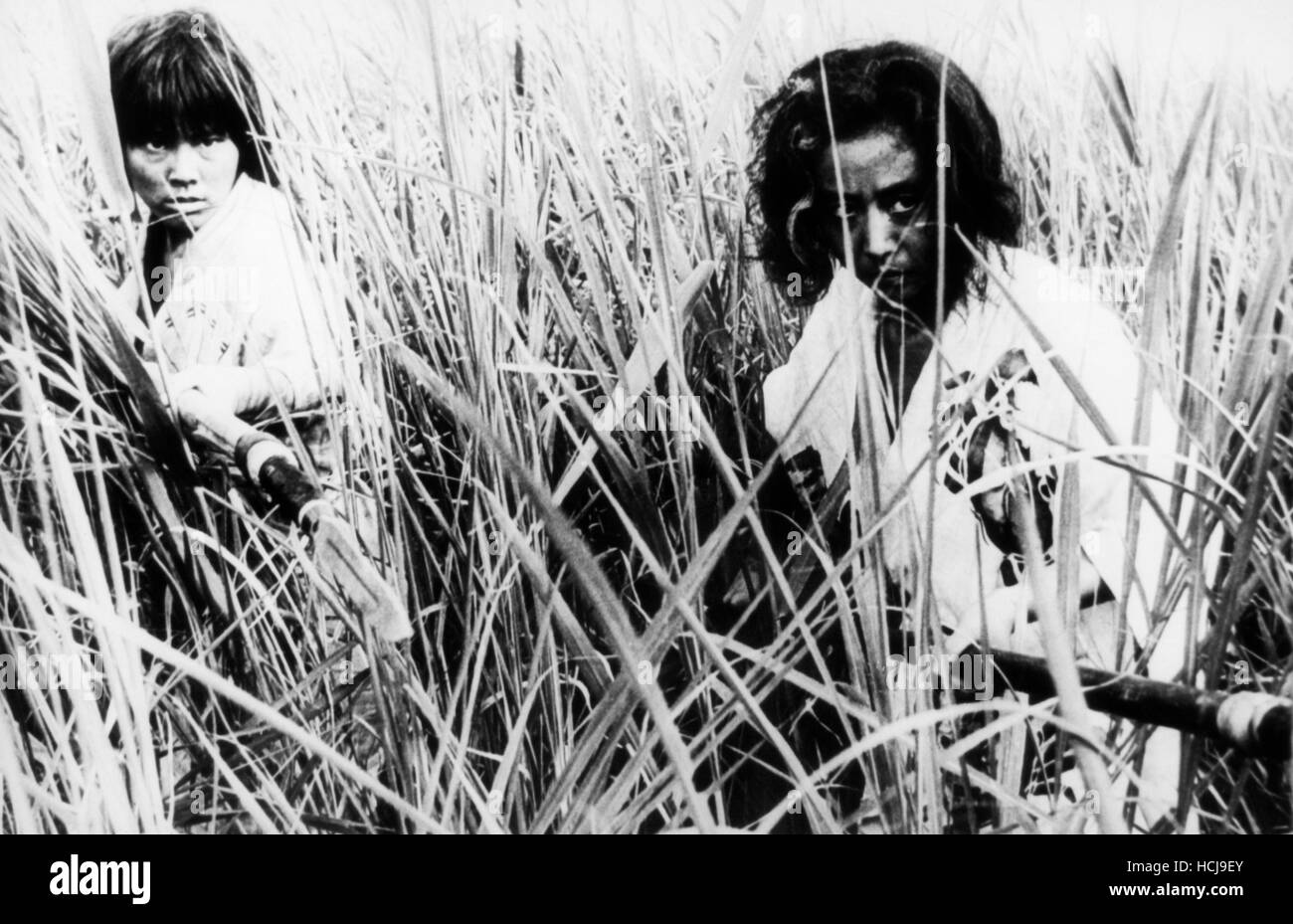 ONIBABA, from left: Jitsuko Yoshimura, Nobuko Otowa, 1964 Stock Photo ...