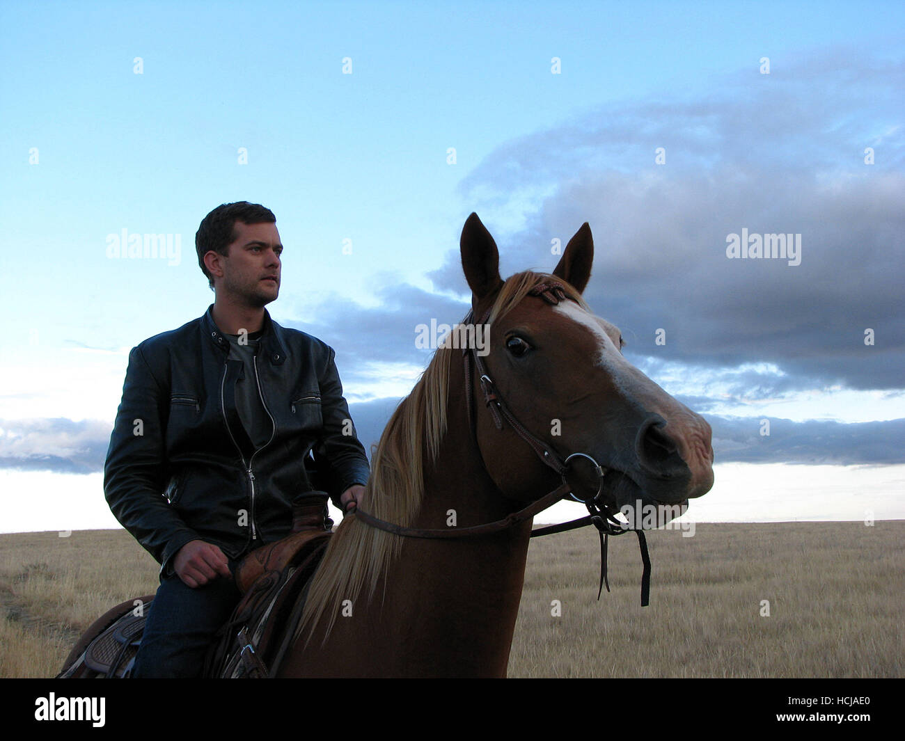 ONE WEEK, Joshua Jackson, 2008. ©Mongrel Media/Courtesy Everett ...