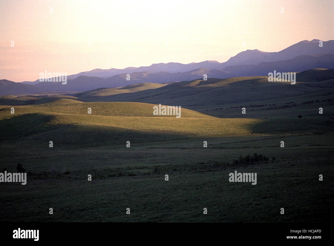OPEN RANGE, 2003, (c) Touchstone/courtesy Everett Collection Stock ...