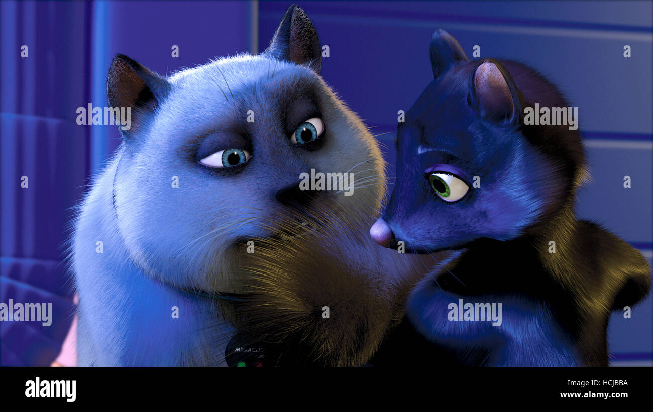 OVER THE HEDGE, Tiger, Stella, 2006, ©DreamWorks/courtesy Everett ...