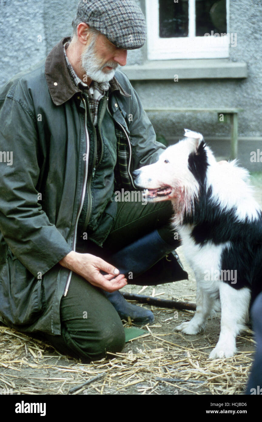 OWD BOB, James Cromwell, 1997. (c) Buena Vista Pictures/ Courtesy ...