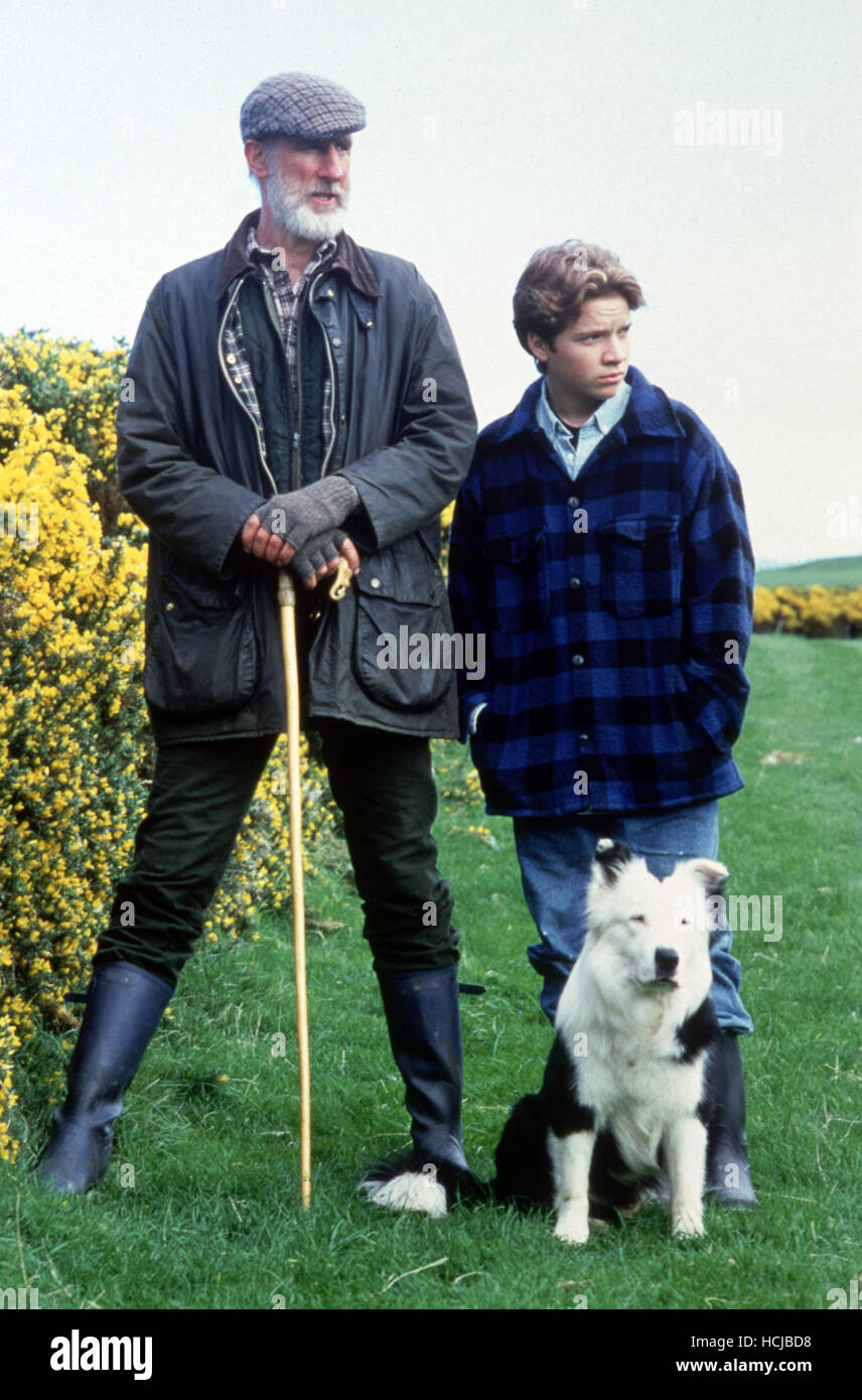 OWD BOB, James Cromwell, Dylan Provencher, 1997. (c) Buena Vista ...