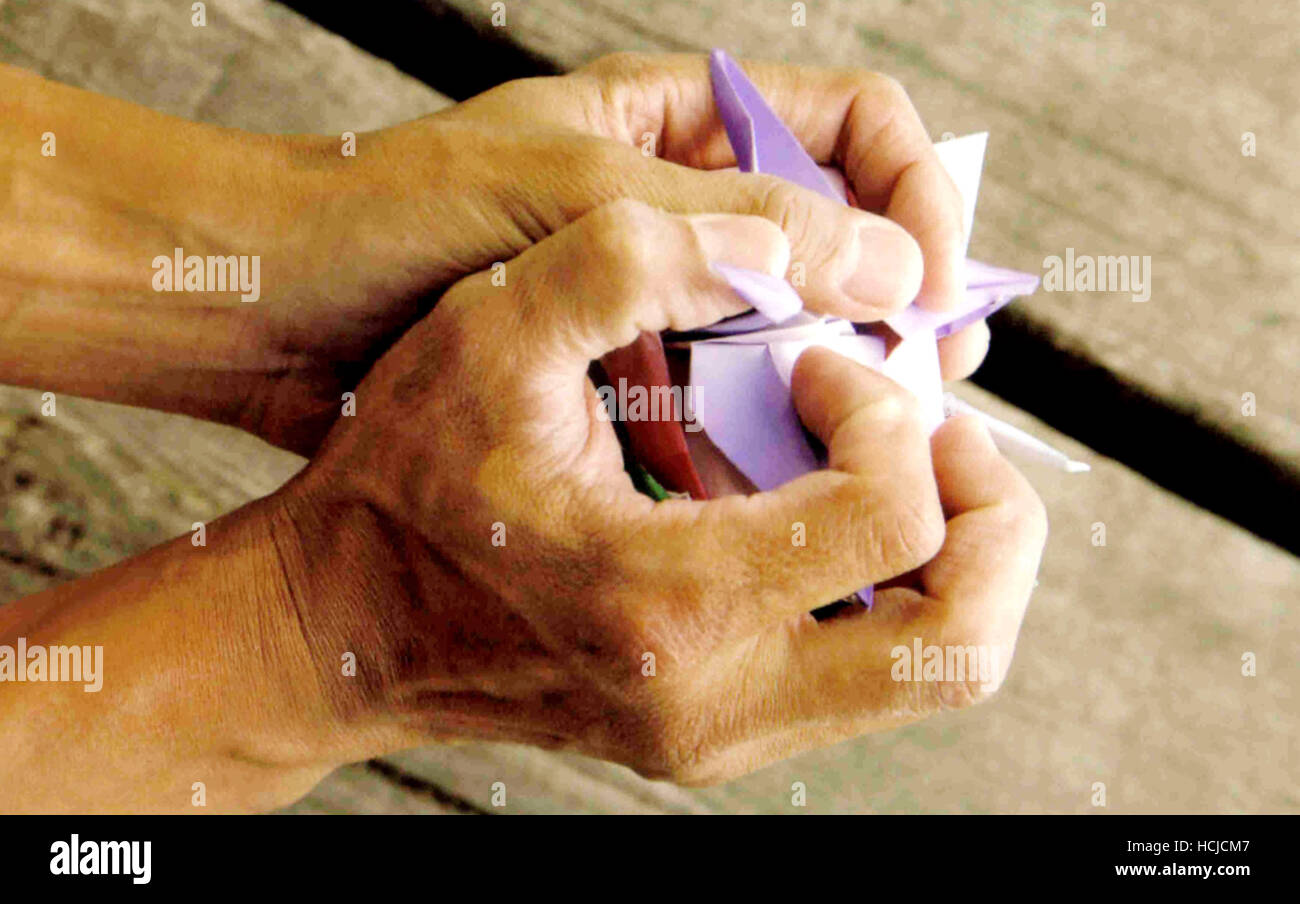 PAPER MOON AFFAIR, 2005 Stock Photo - Alamy