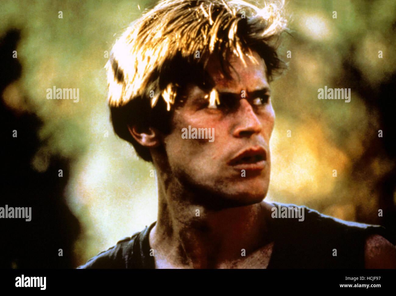 PLATOON, Willem Dafoe, 1986, (c) Orion/courtesy Everett Collection ...
