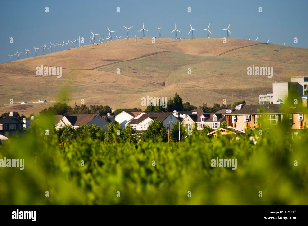 The wind turbines of the Altamont Pass Wind Farm overlook the homes and ...