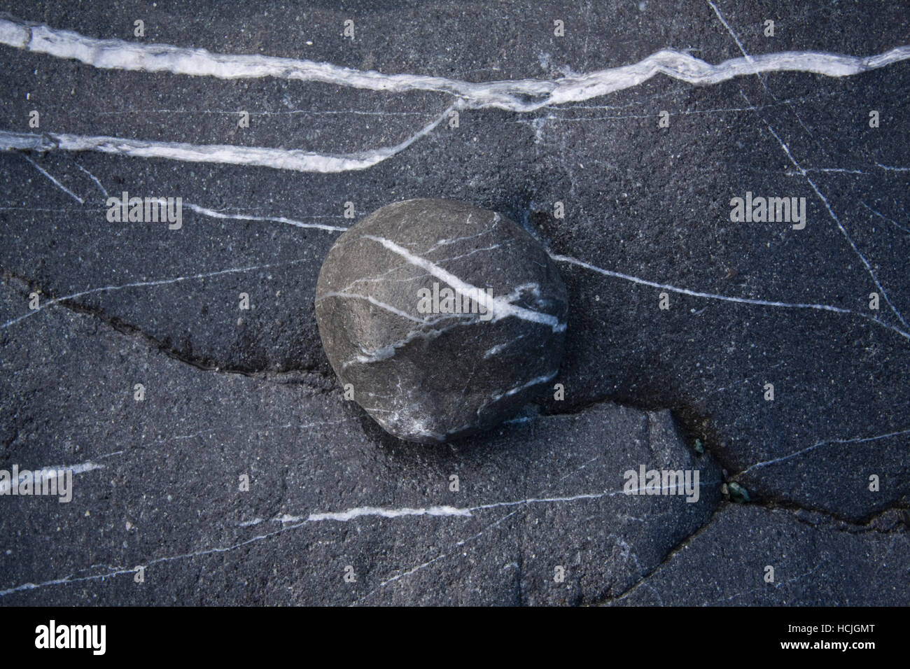 A black stone with quartz lines against a matching background on the ...