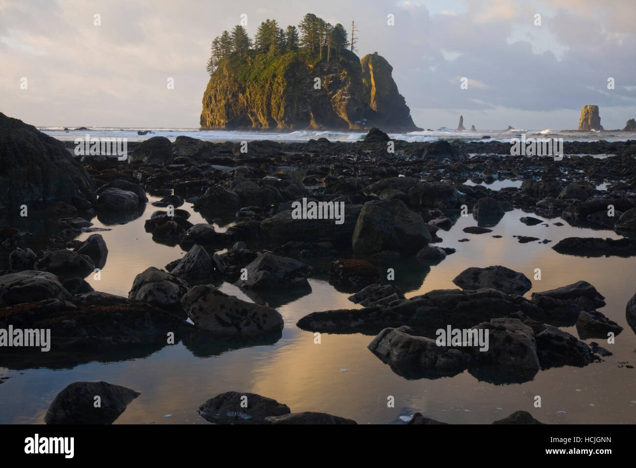 Sunrise light strikes a large sea stack at Second Beach, Olympic ...