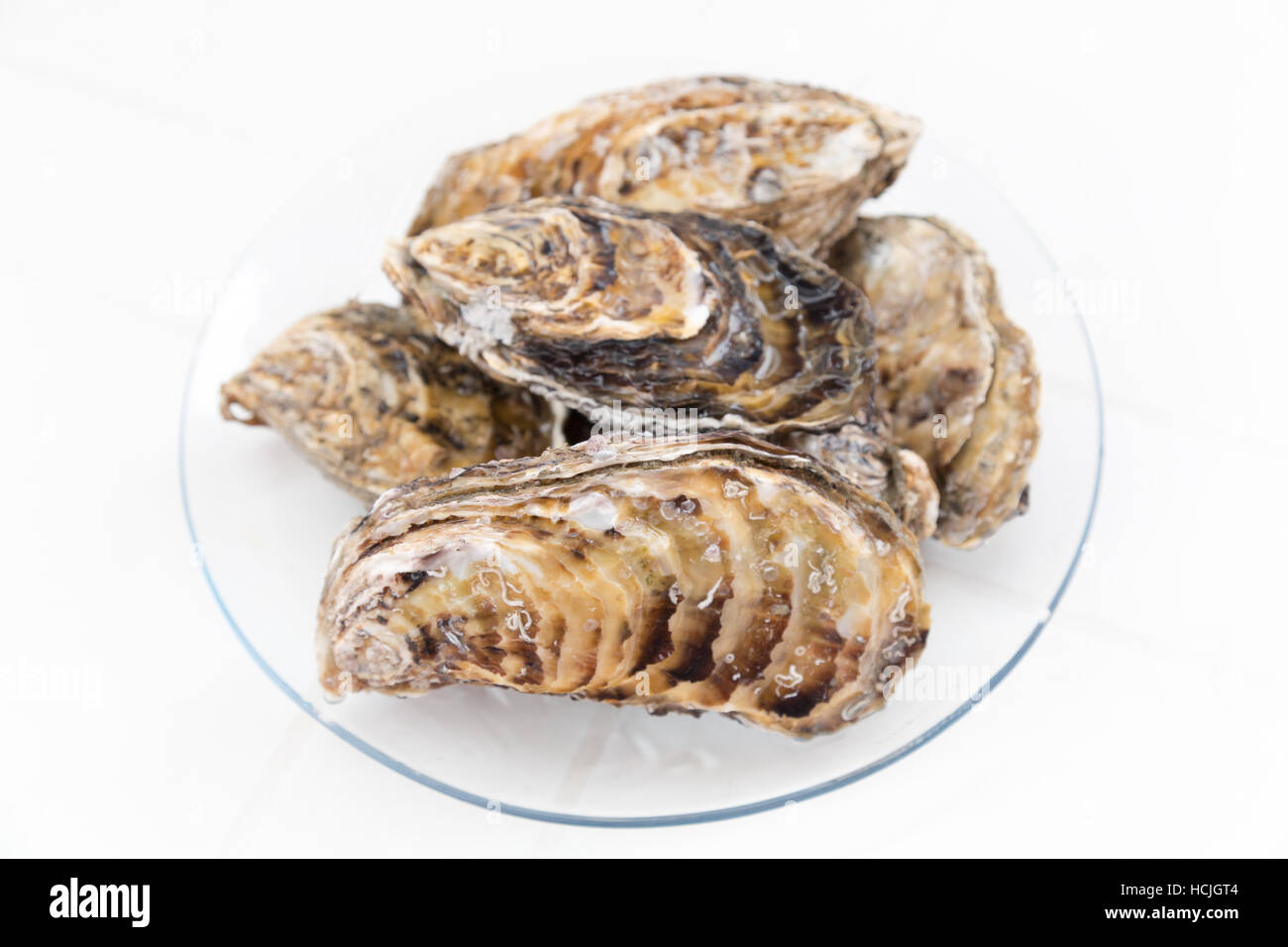 Partially cooked closed oyster shells presented on a glass plate, white ...