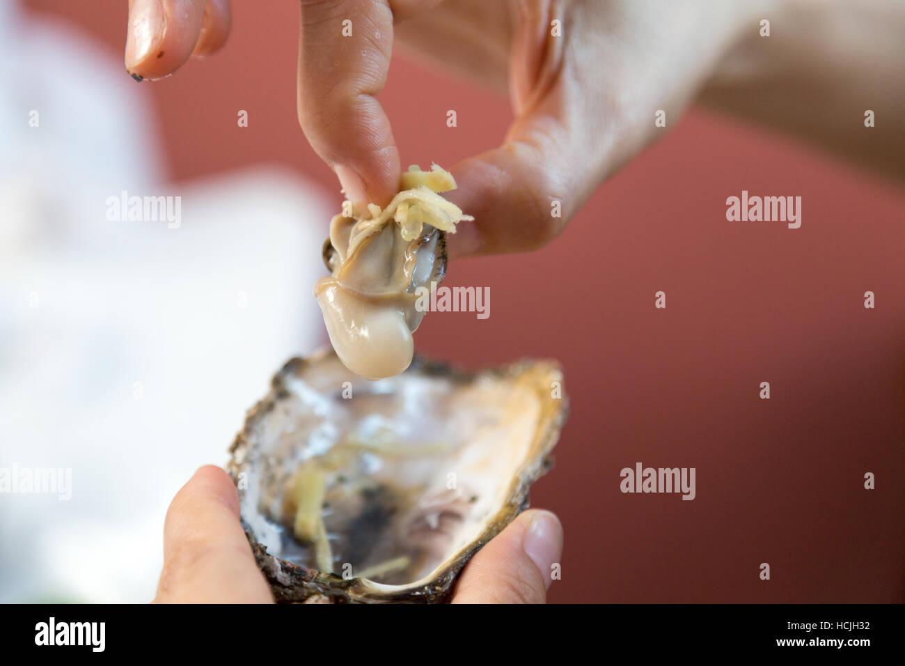 Different Mollusks Food High Resolution Stock Photography and Images ...