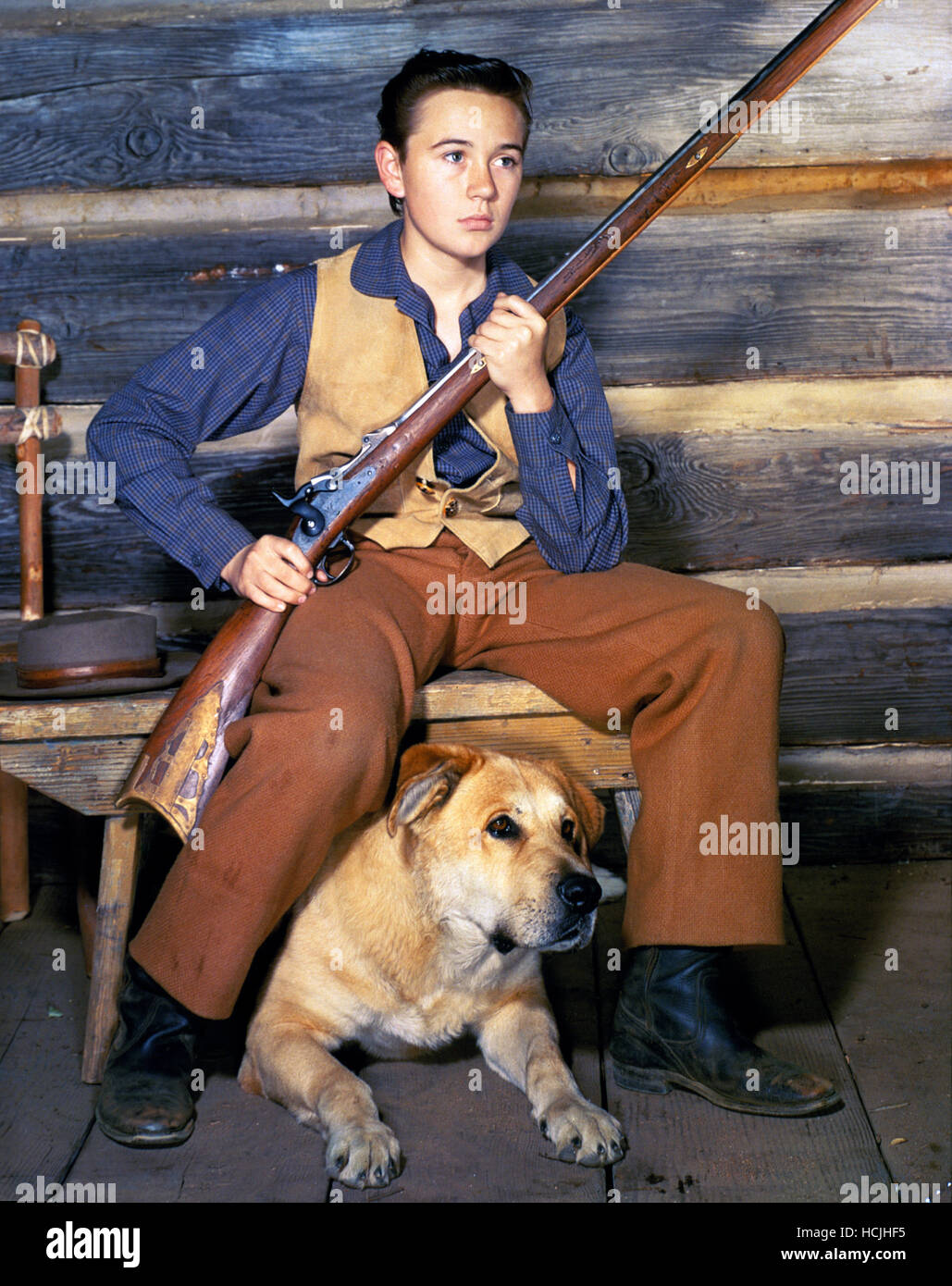 OLD YELLER, Tommy Kirk with Old Yeller, 1957 Stock Photo - Alamy