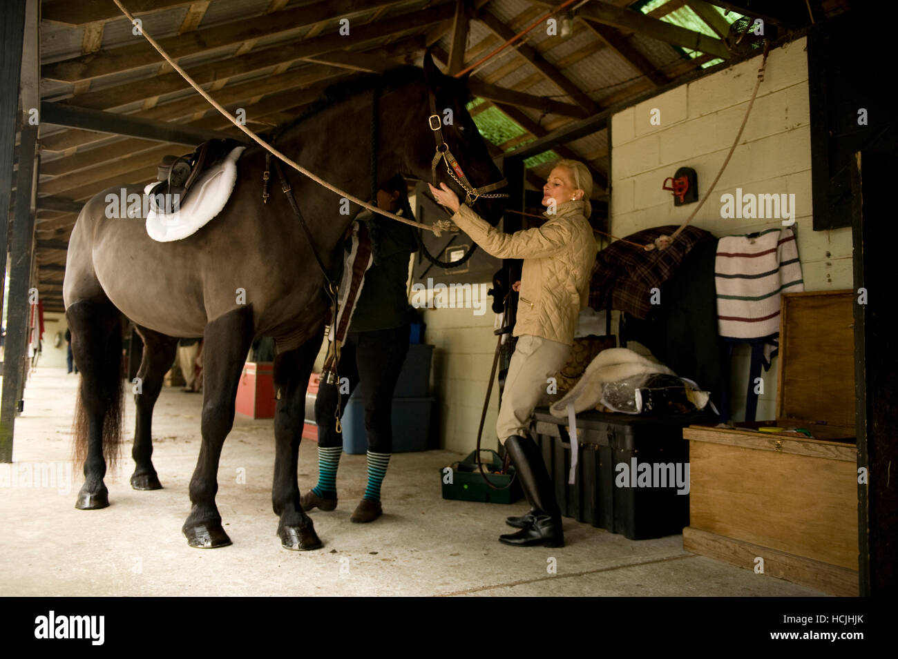 A woman prepares her horse for a traditional fox hunt. Fox hunting is ...