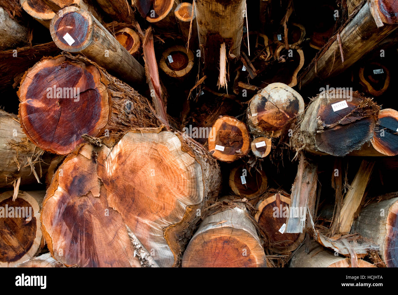 The Conservation Fund has sold some of their wood from cuts on the ...