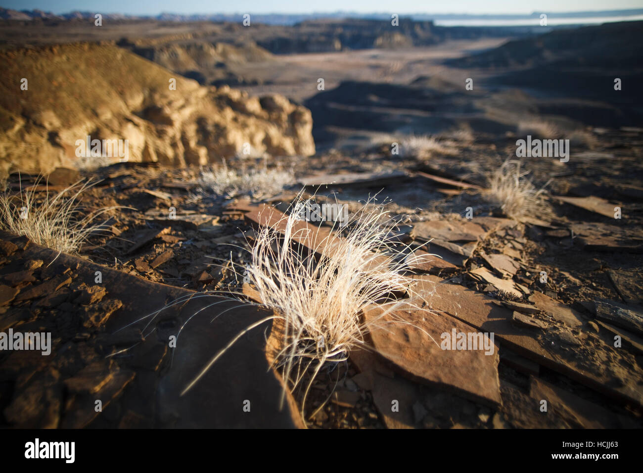 Canyon system hi-res stock photography and images - Alamy