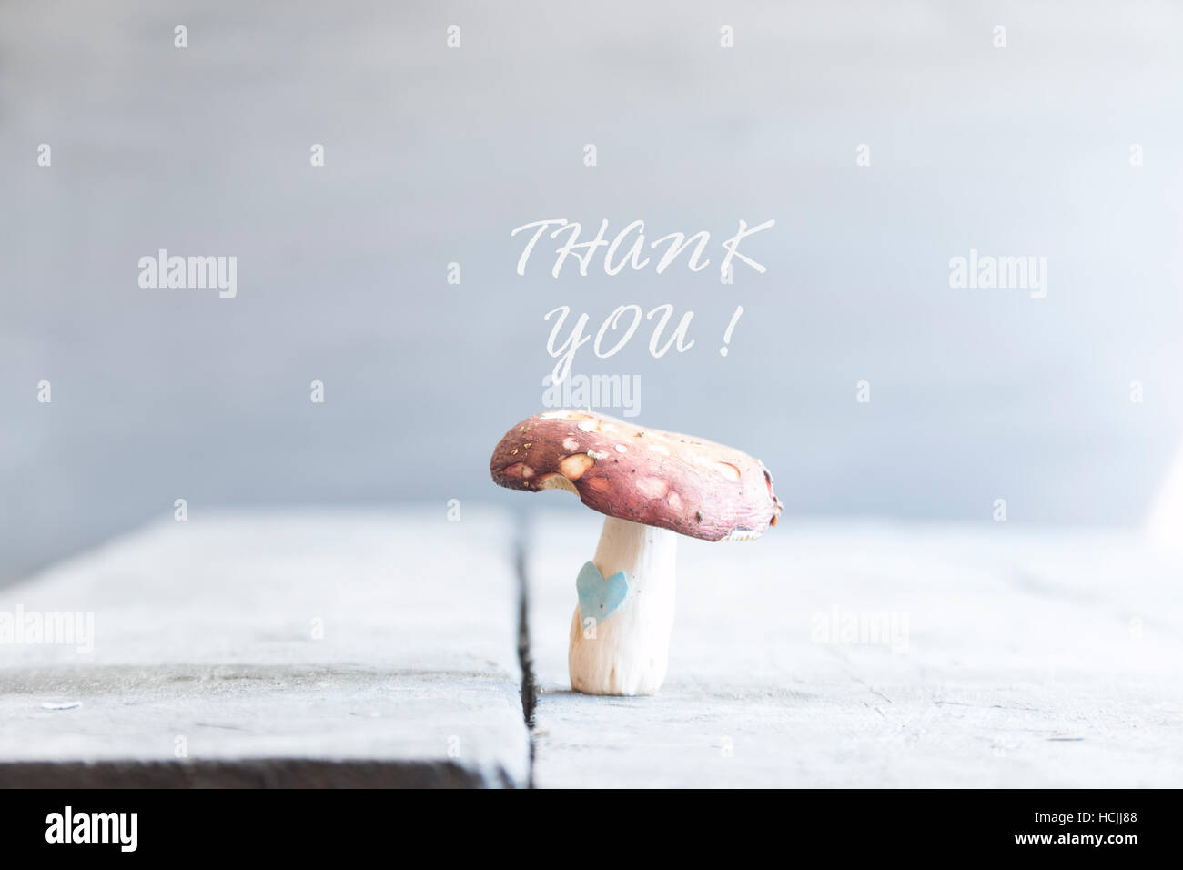 Thank You, text and mushrooms with heart Stock Photo - Alamy