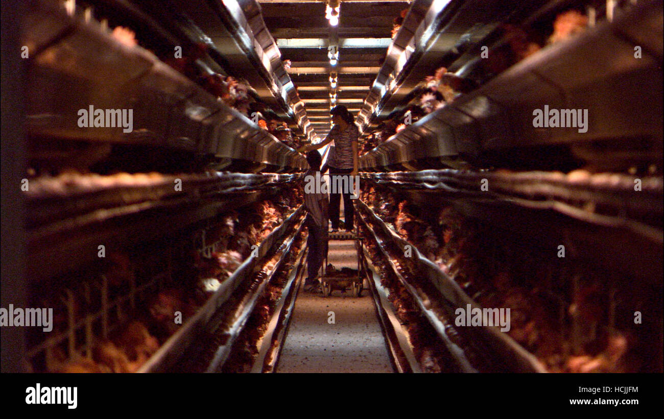 OUR DAILY BREAD, (aka UNSER TAGLICH BROT), 2005, ©First Run Features ...