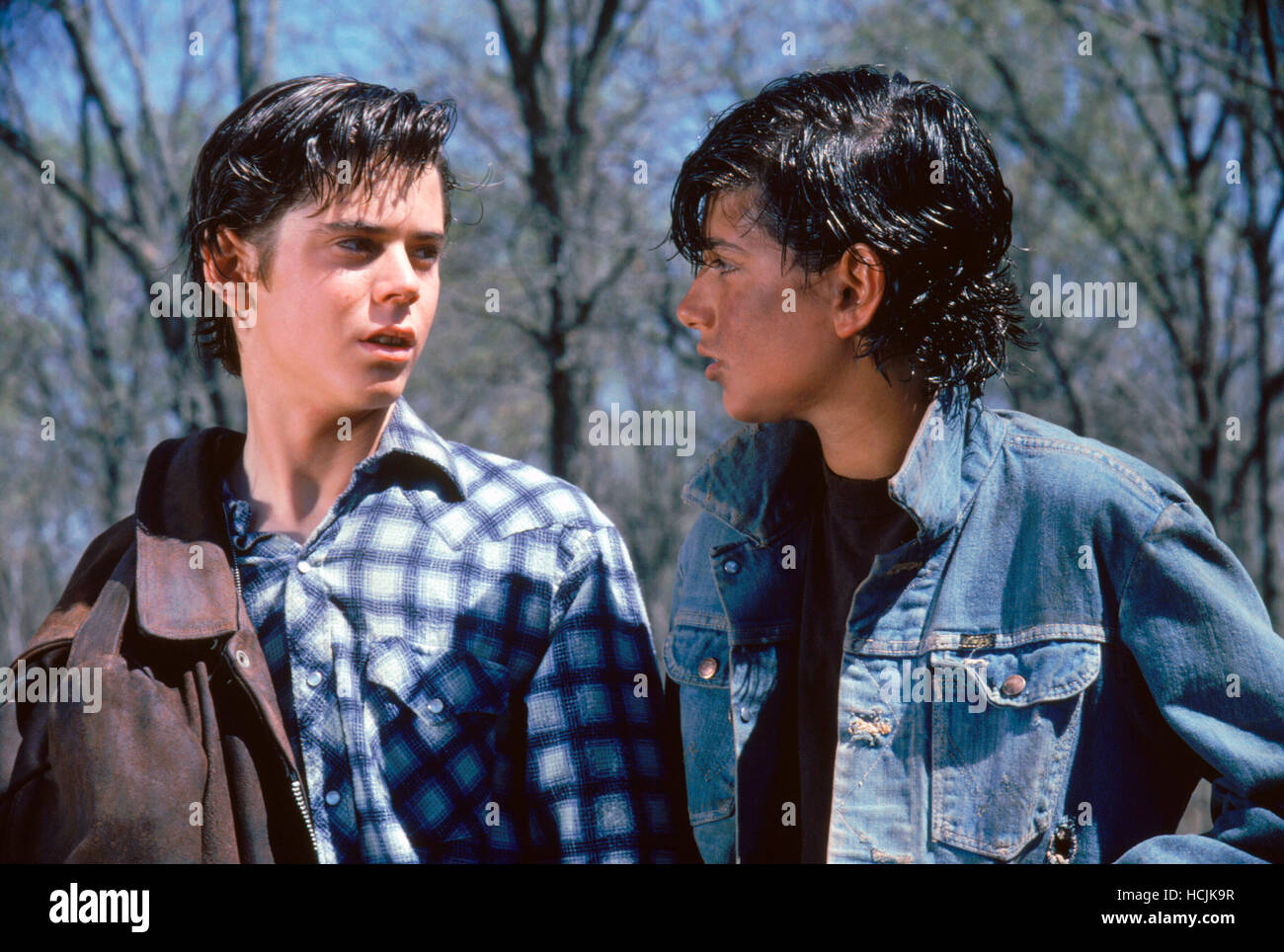 THE OUTSIDERS, from left: C. Thomas Howell, Ralph Macchio, 1983 ...