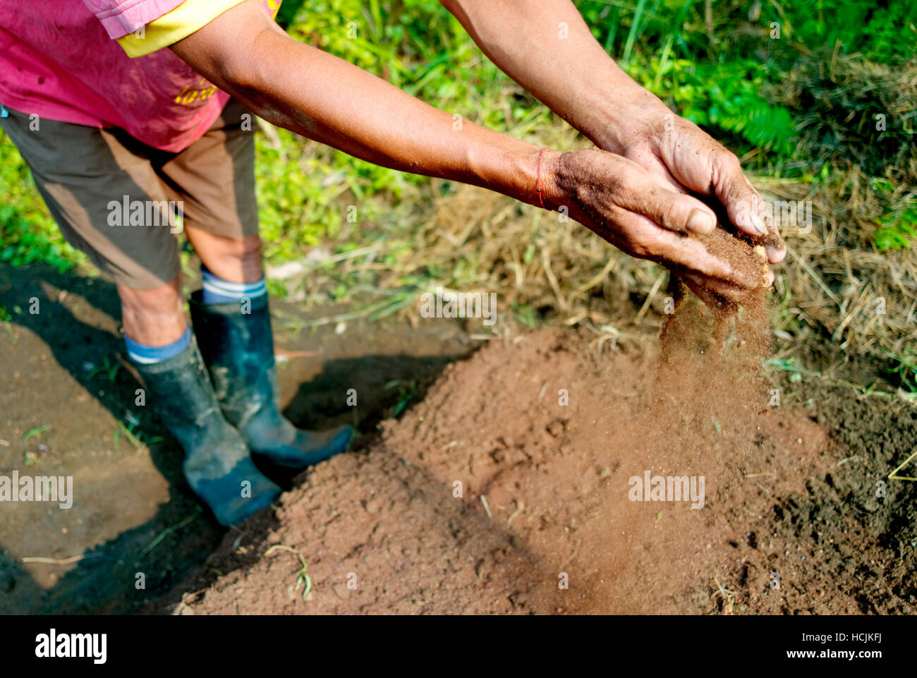 Sustainability programs hi-res stock photography and images - Alamy