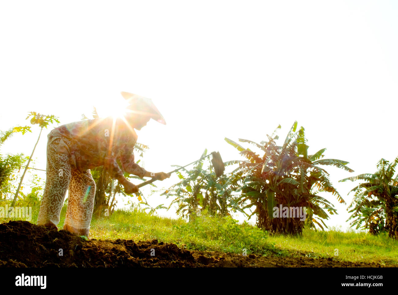 Villagers near Nehas Liah Bing, farming a small plot of land as part of ...