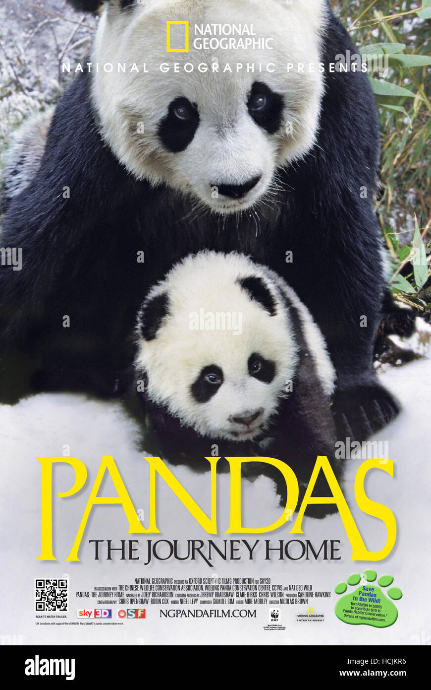 PANDAS: THE JOURNEY HOME, US poster art, 2014. ©National Geographic ...