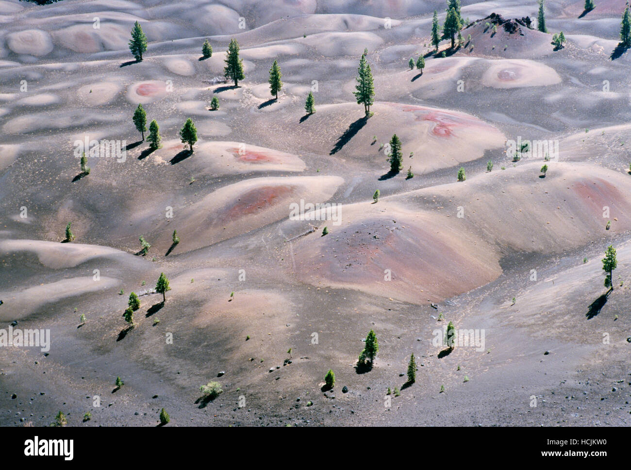 High angle view of the Painted Dunes and pine trees in Lassen National ...