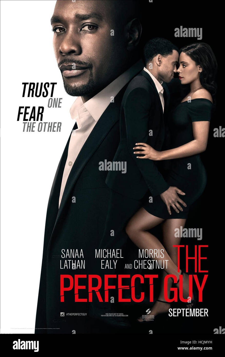THE PERFECT GUY, US poster, l-r: Morris Chestnut, Michael Ealy, Sanaa ...