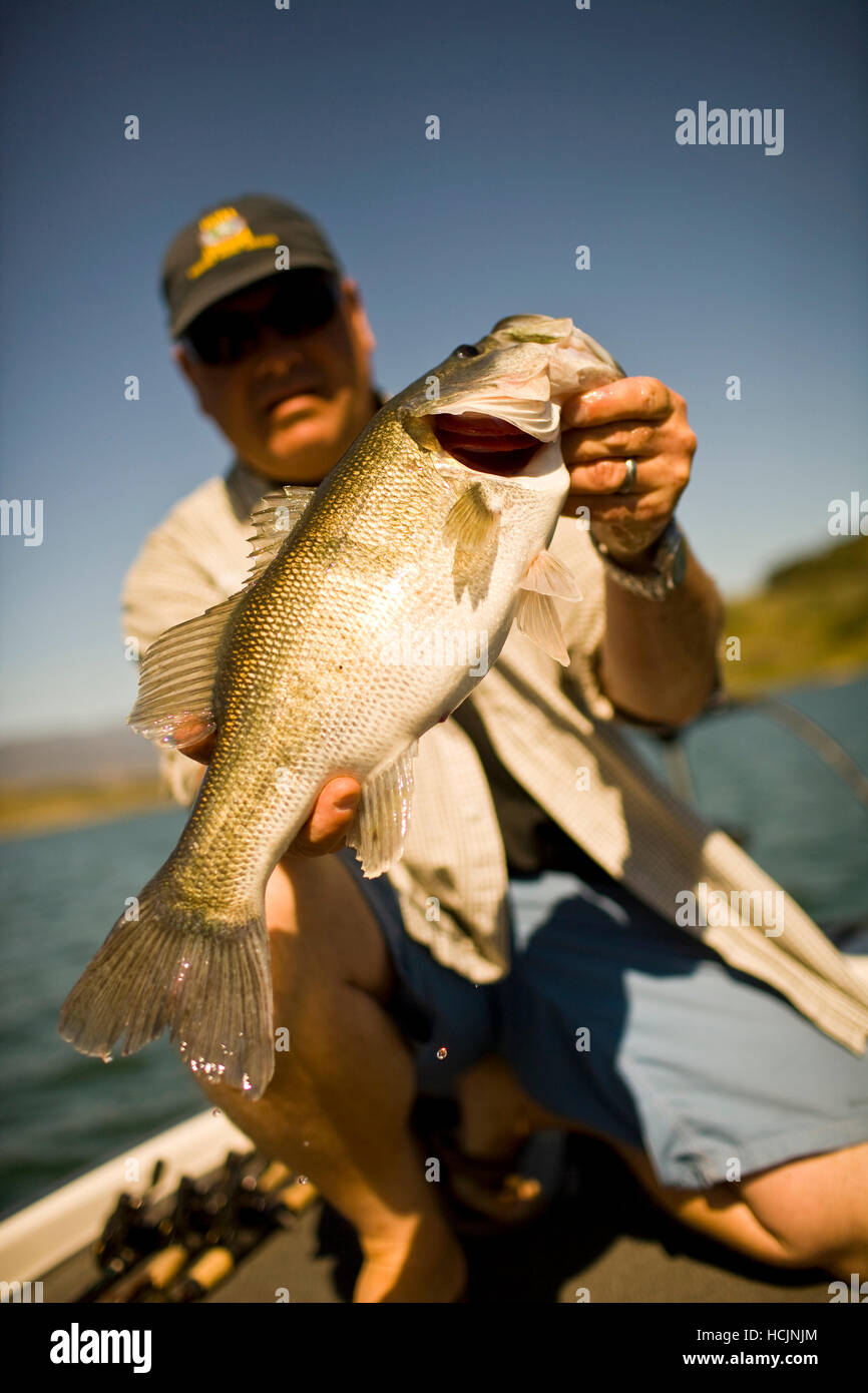 A man holds up his catch proudly for the camera while bass fishing in ...