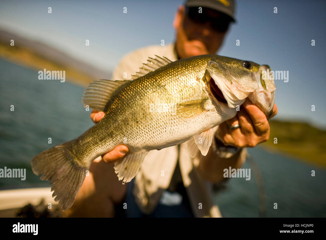A man holds up his catch proudly for the camera while bass fishing in ...