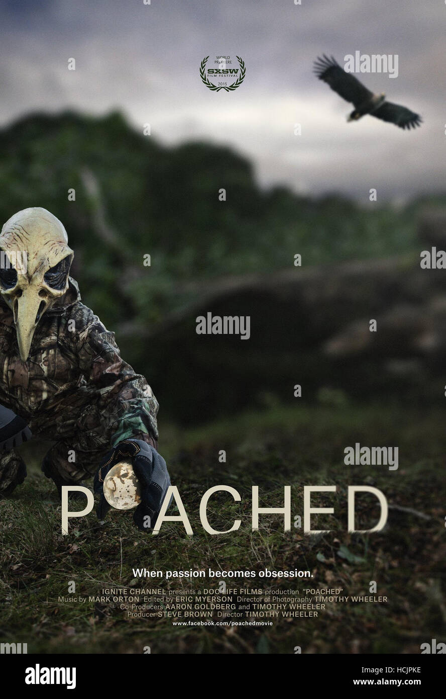POACHED, poster art, 2015. © Ignite Channel / courtesy Everett ...